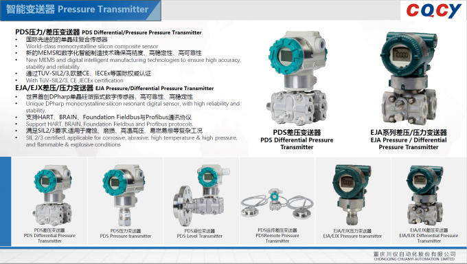China Chongqing Chuanyi Automation Limited company profile